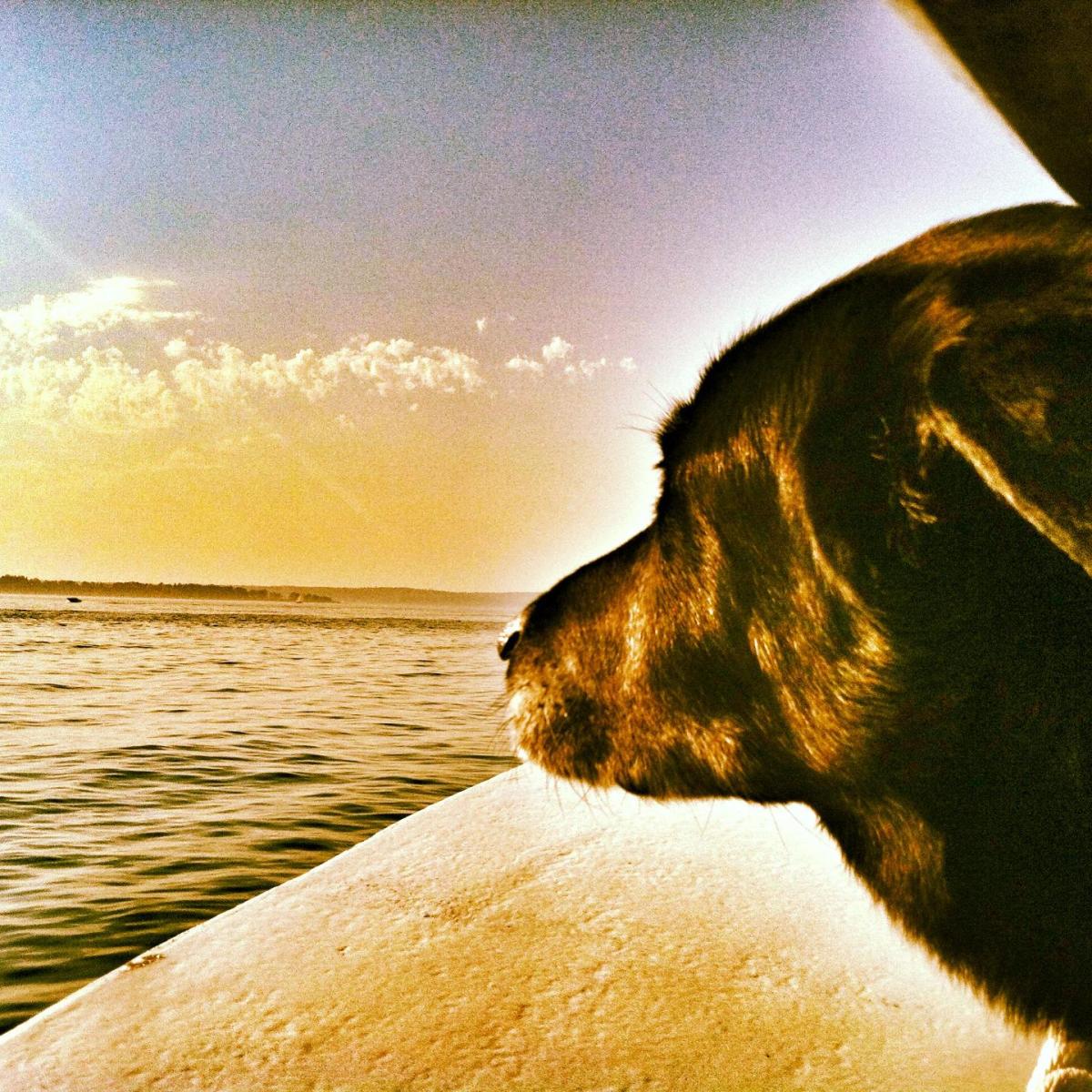 Just in Case, Just in Case – Jaime Alexis Stathis